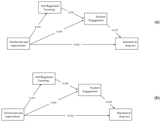 A Path Model of University Dropout Predictors: The Role of Satisfaction ...
