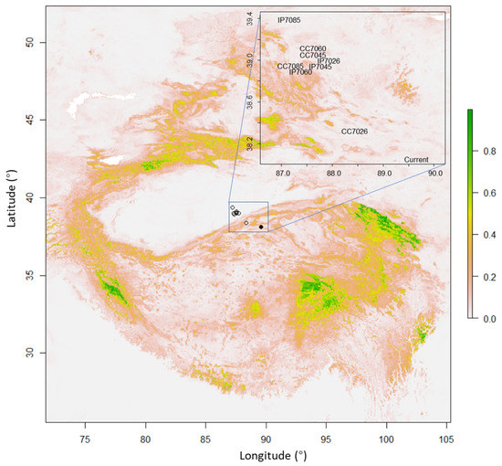 Potential Range Shift of Snow Leopard in Future Climate Change Scenarios