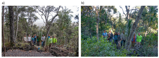 A Hawaiian Tropical Dry Forest Regenerates: Natural Regeneration of ...