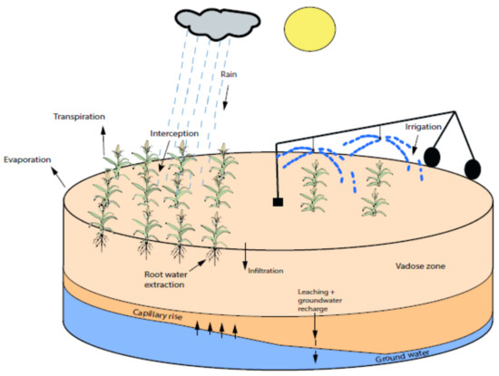 Knowledge-Based Optimal Irrigation Scheduling of Agro-Hydrological Systems