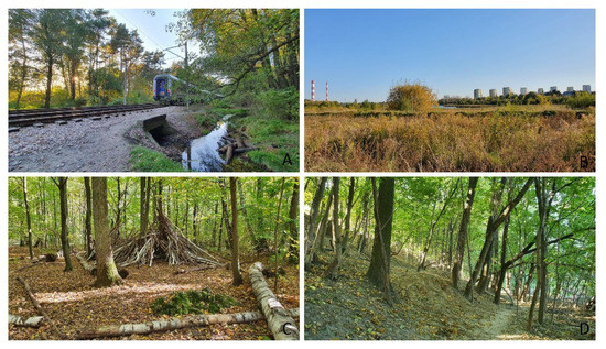 Sustainable Tourism in Cities—Nature Reserves as a ‘New’ City Space for ...