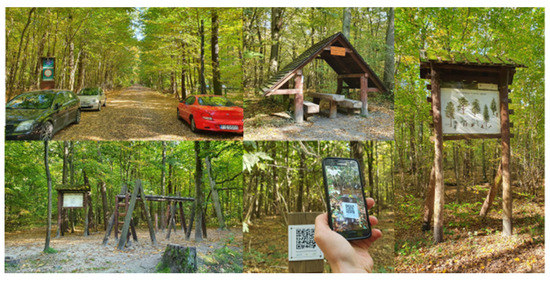 Sustainable Tourism in Cities—Nature Reserves as a ‘New’ City Space for ...