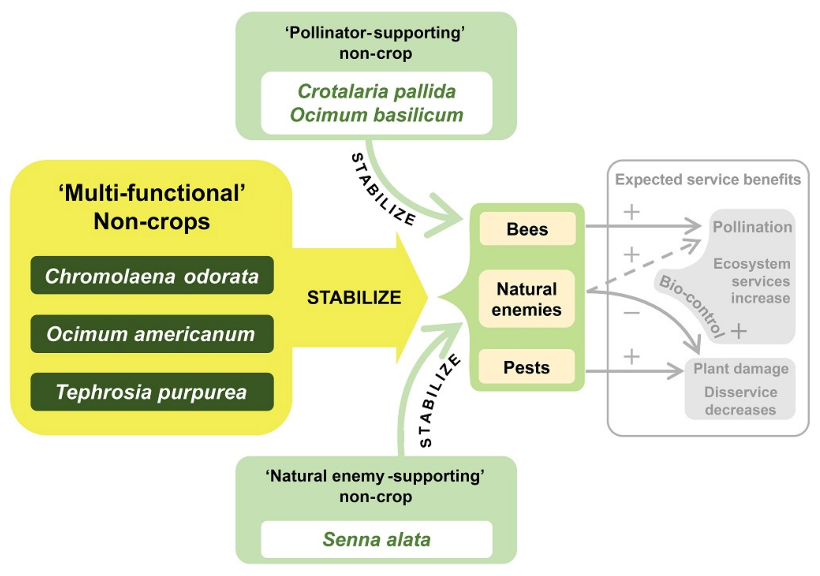 Selection of Non-Crop Plant Mixes Informed by Arthropod-Plant Network ...