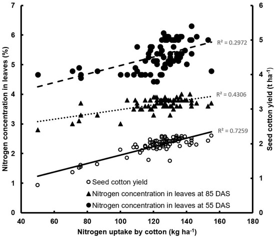 Precision Nitrogen Management in Bt Cotton (Gossypium hirsutum ...