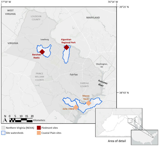 Assessing Carbon Storage Potential of Forested Wetland Soils in Two ...