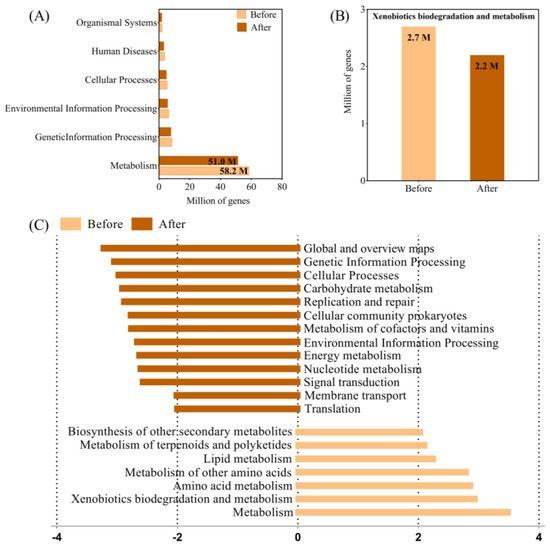 Understanding the Implications of Predicted Function for Assessment of ...