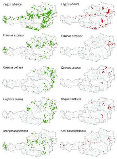 Assessment of Drought-Tolerant Provenances of Austria’s Indigenous Tree ...