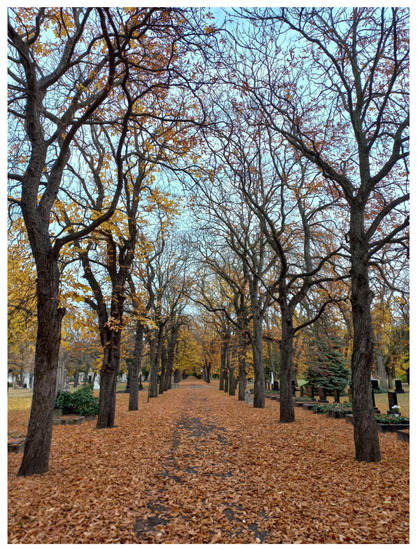 Cemeteries as a Part of Green Infrastructure and Tourism