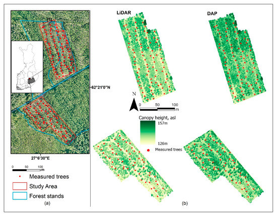 Comparison of Individual Tree Height Estimated from LiDAR and Digital ...