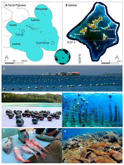 Spatial Solutions and Their Impacts When Reshuffling Coastal Management ...