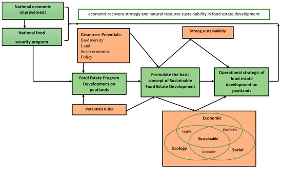 Examining the Socio-Economic and Natural Resource Risks of Food Estate ...