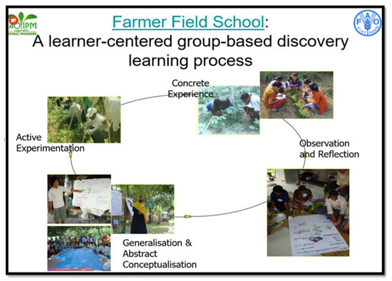 Impact of Farmer Field School on Crop Income, Agroecology, and Farmer’s ...