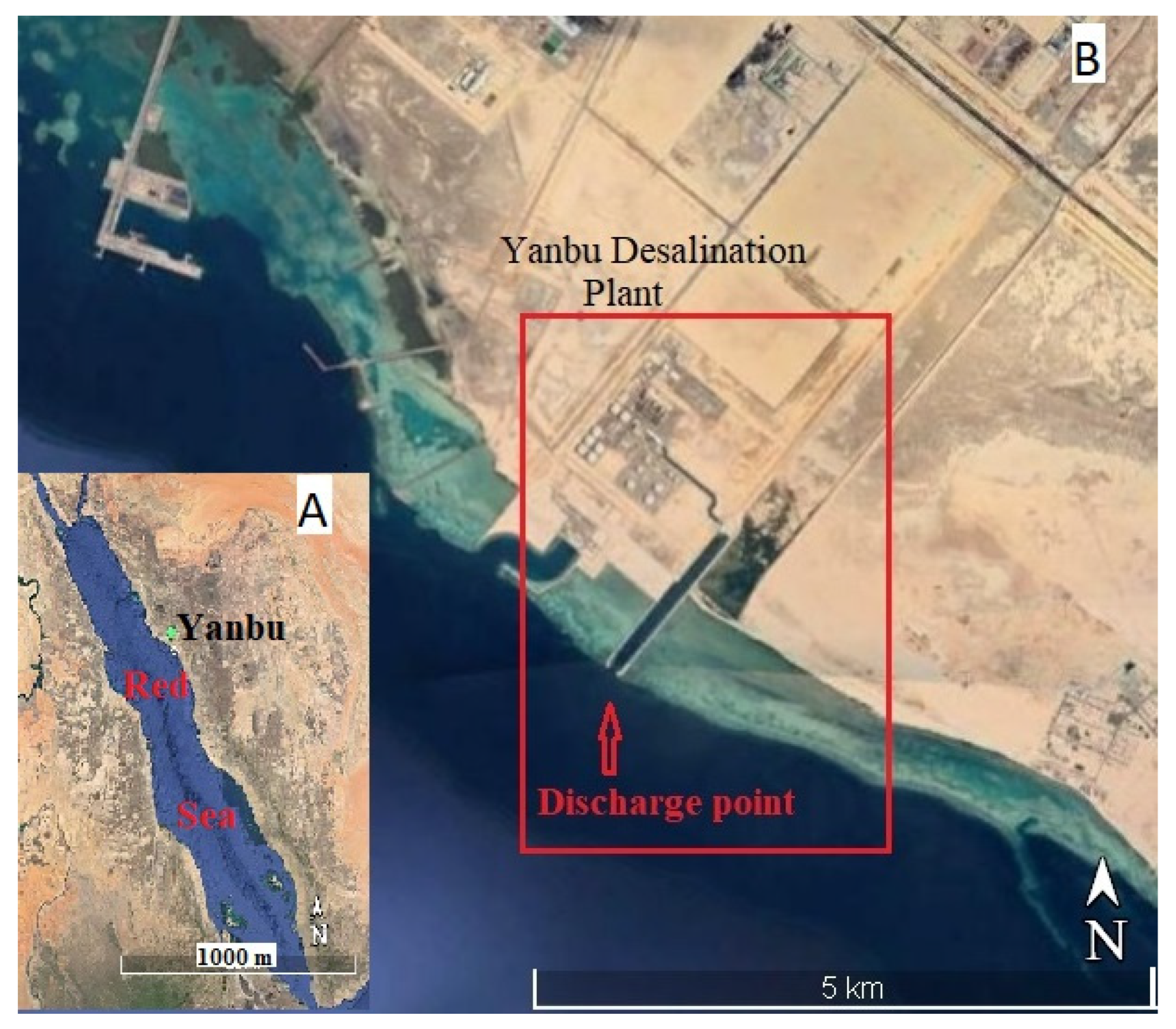 Environmental Impacts of Thermal and Brine Dispersion Using ...