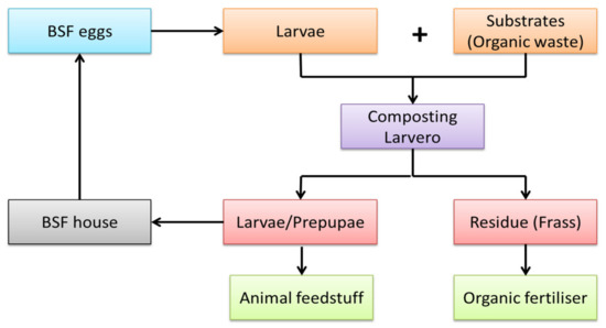 A Review of Organic Waste Treatment Using Black Soldier Fly (Hermetia ...