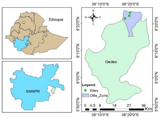Assessing Carbon Pools of Three Indigenous Agroforestry Systems in the ...
