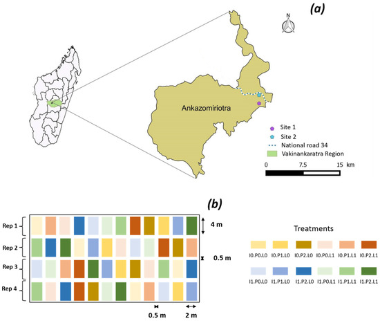 Effect of Rhizobium Inoculation on Growth of Common Bean in Low-Fertility Tropical Soil Amended ...