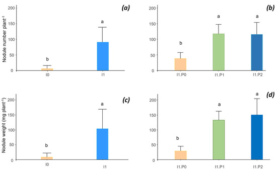 Effect of Rhizobium Inoculation on Growth of Common Bean in Low-Fertility Tropical Soil Amended ...