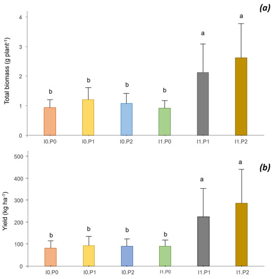 Effect of Rhizobium Inoculation on Growth of Common Bean in Low-Fertility Tropical Soil Amended ...