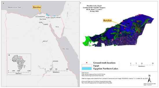 Loss of Coastal Wetlands in Lake Burullus, Egypt: A GIS and Remote ...