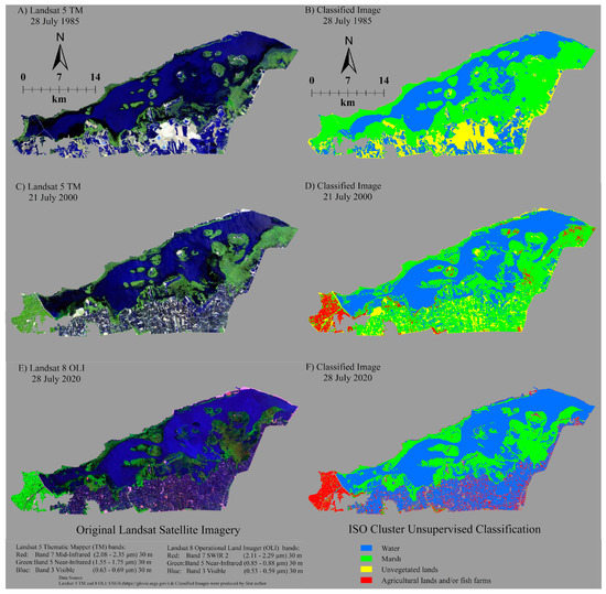 Loss of Coastal Wetlands in Lake Burullus, Egypt: A GIS and Remote ...
