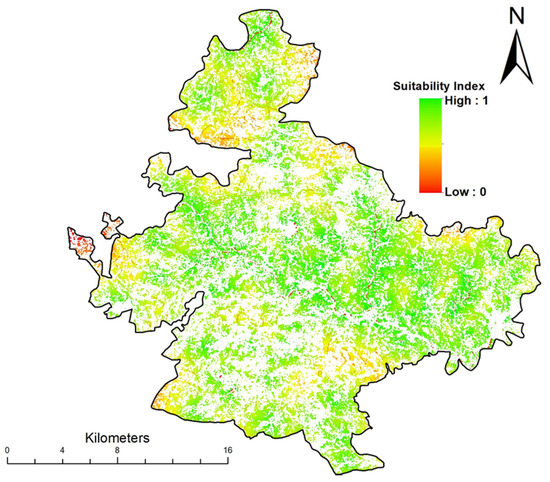 Agroforestry Suitability for Planning Site-Specific Interventions Using ...