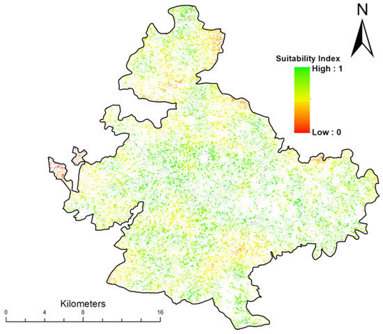 Agroforestry Suitability for Planning Site-Specific Interventions Using ...