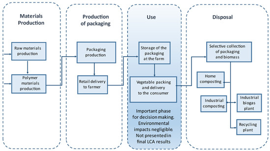 Challenges for Sustainability in Packaging of Fresh Vegetables in ...