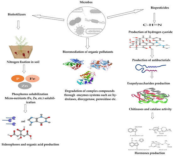 Climate-Resilient Microbial Biotechnology: A Perspective on Sustainable ...