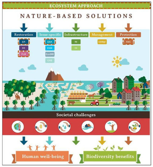From Theory to Practice: The Student Experience Evaluating Development ...