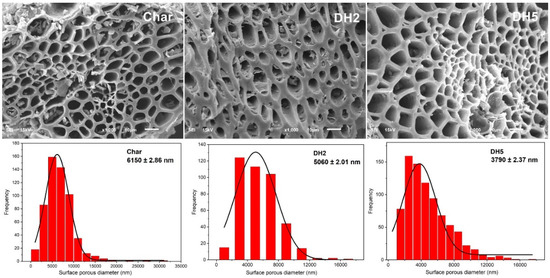 Study of the Enhancements of Porous Structures of Activated Carbons ...