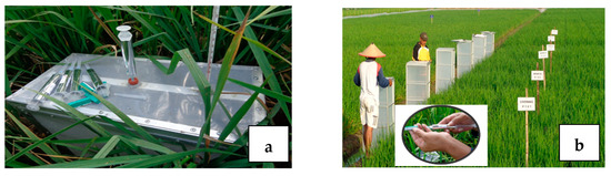 Study of Organic Fertilizers and Rice Varieties on Rice Production and ...