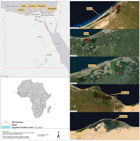 Variation in Plant Community Composition and Biomass to Macro and ...