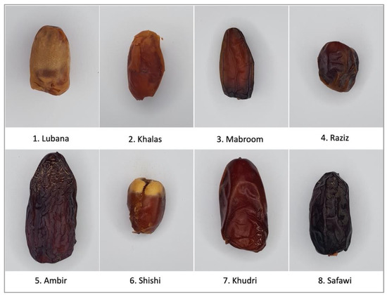 A Deep Learning-Based Model for Date Fruit Classification