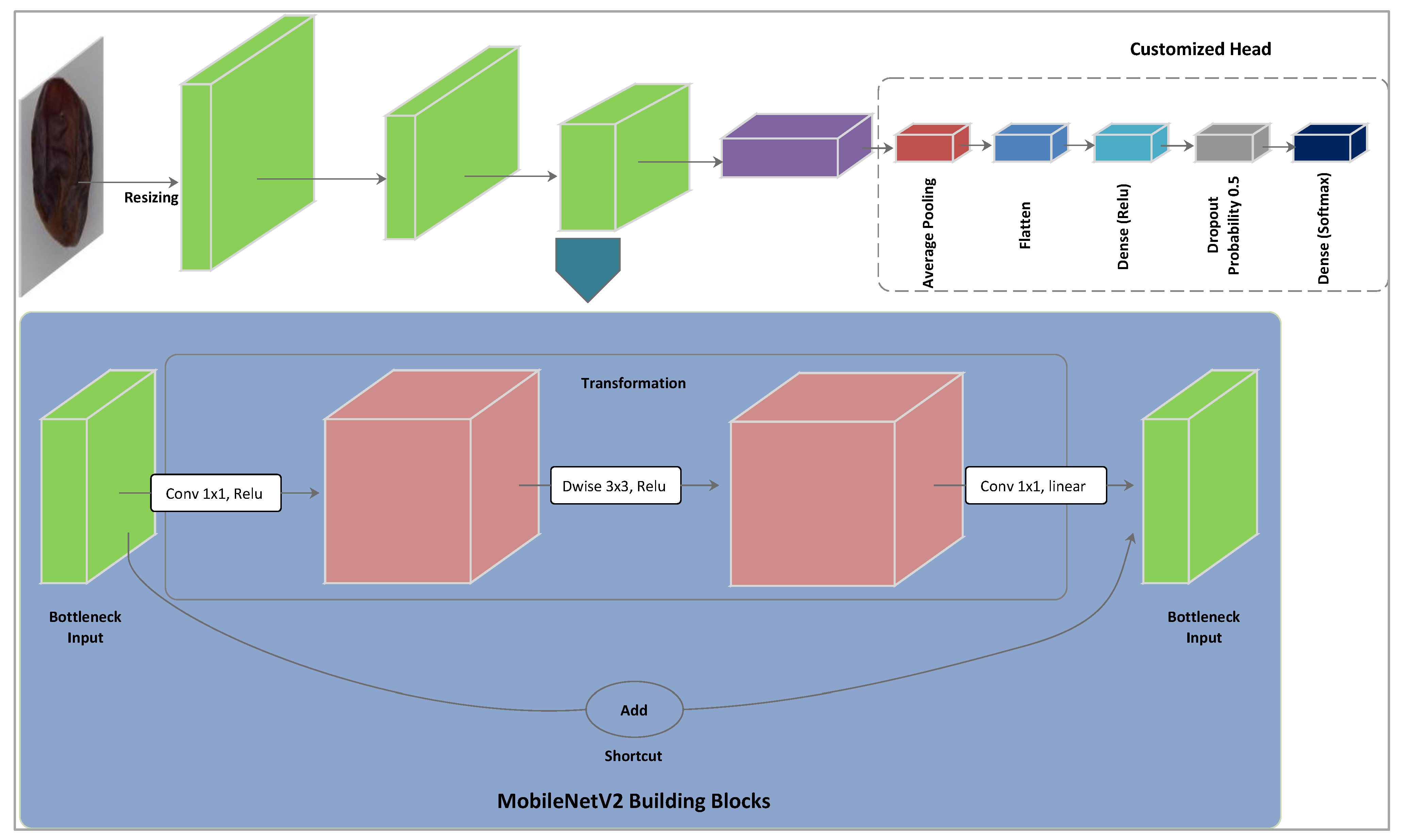 A Deep Learning-Based Model for Date Fruit Classification