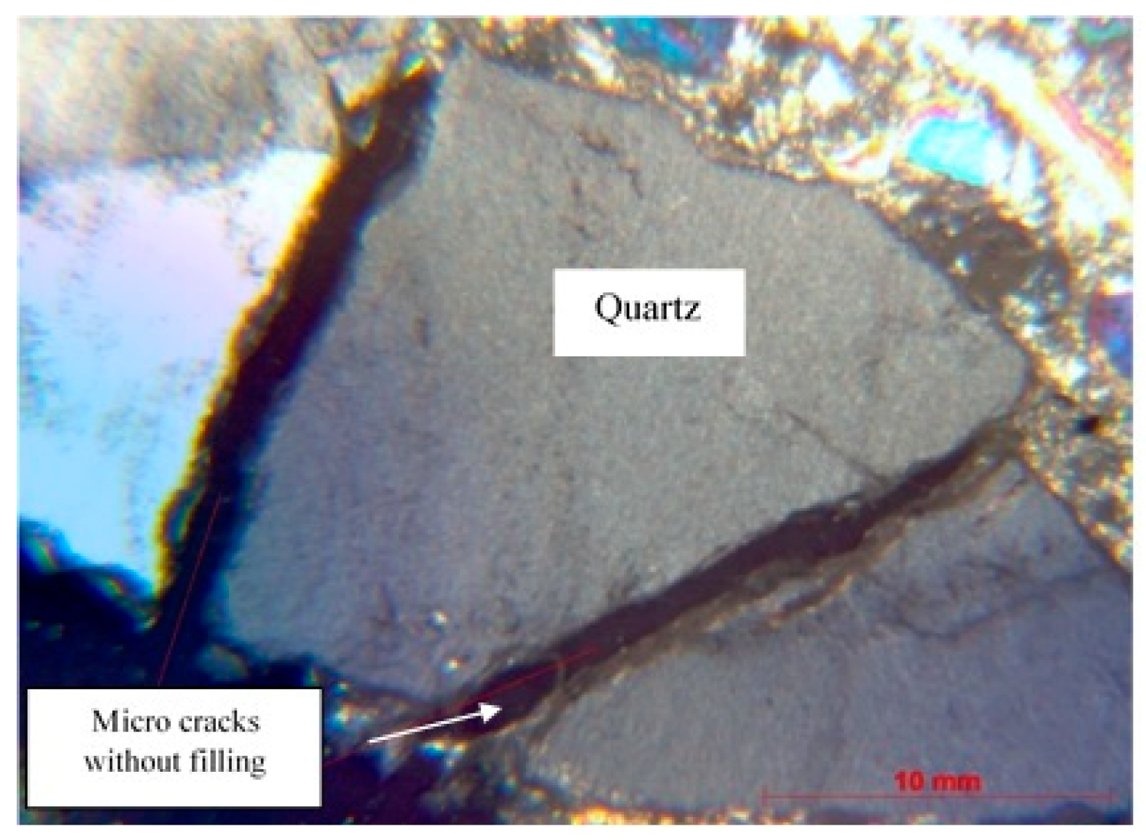 Comparison between Synthetic and Biodegradable Polymer Matrices on the ...