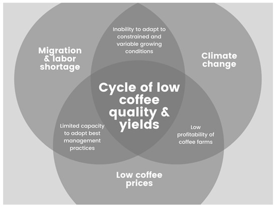 Grounds for Collaboration: A Model for Improving Coffee Sustainability ...