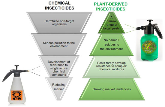 When Scent Becomes a Weapon—Plant Essential Oils as Potent Bioinsecticides