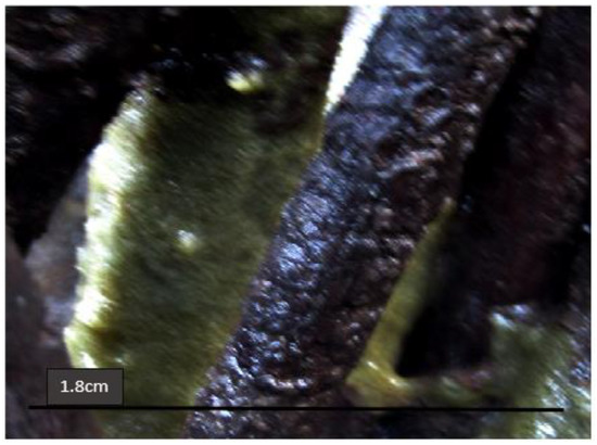 Sponge–Microbial Symbiosis and Marine Extremozymes: Current Issues and ...