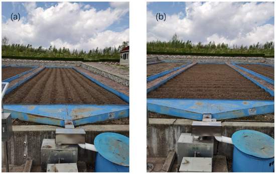 Study on the Characteristics of Soil Erosion in the Black Soil Area of ...
