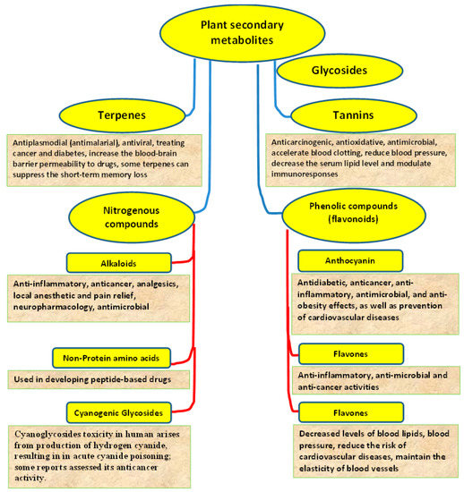 Plant Nutrition for Human Health: A Pictorial Review on Plant Bioactive ...