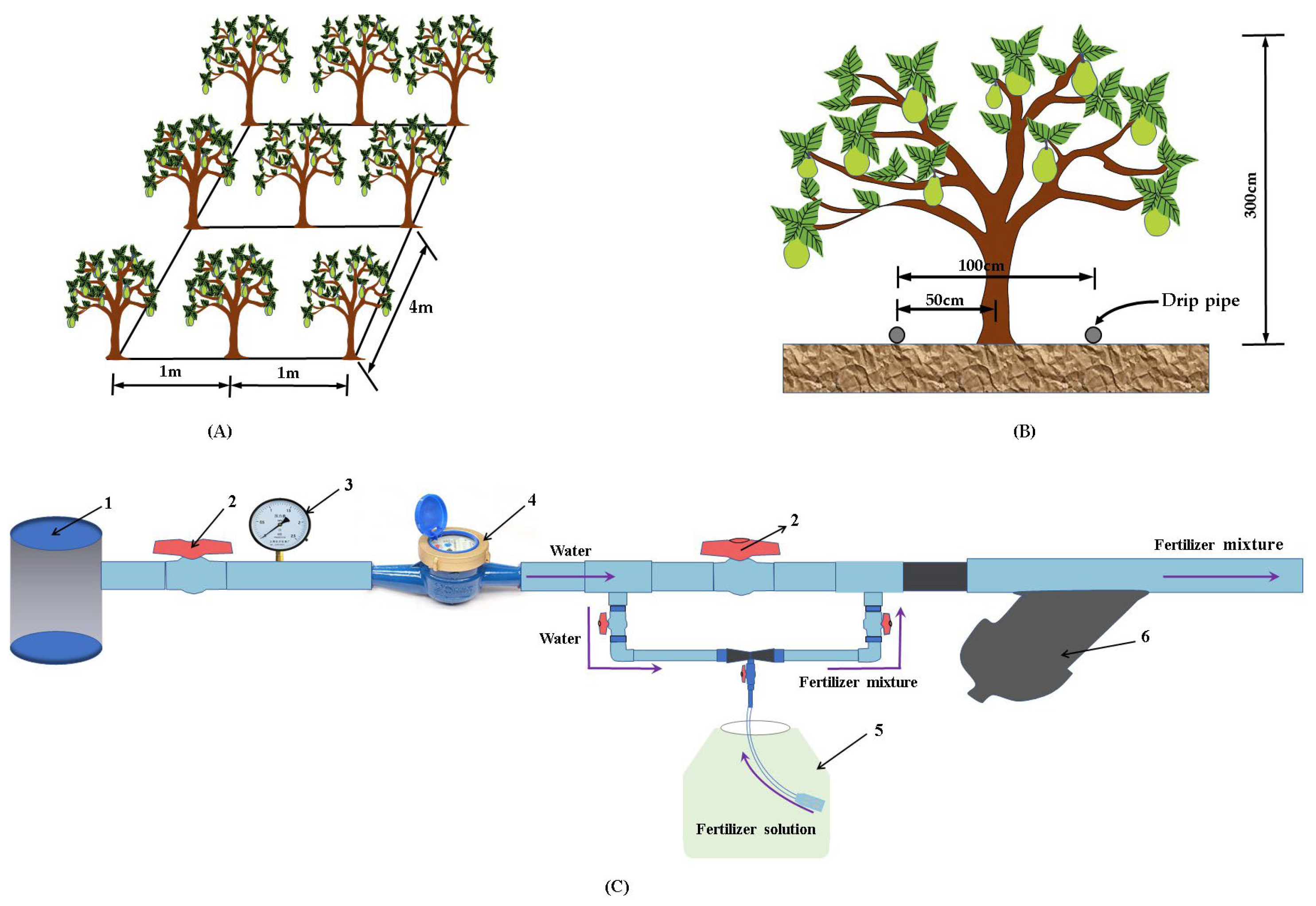 Optimization of a Water-Saving and Fertilizer-Saving Model for ...