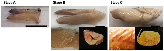 First Report on Reproductive Features of Shadow Driftfish Cubiceps ...