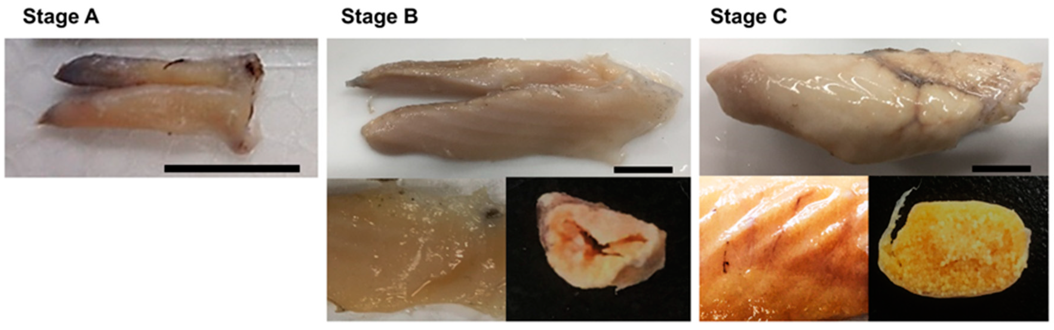 First Report on Reproductive Features of Shadow Driftfish Cubiceps ...