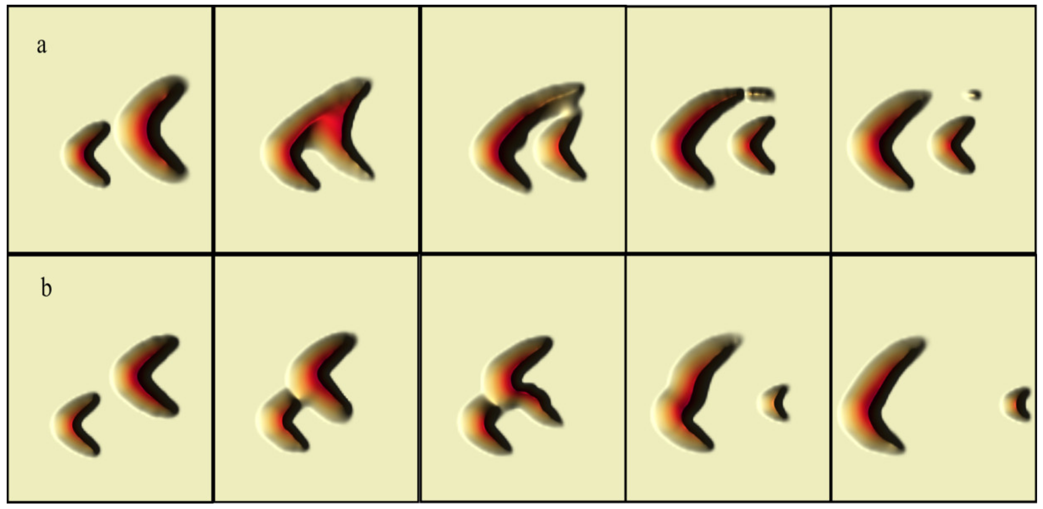 Numerical Simulation Analysis of the Formation and Morphological ...