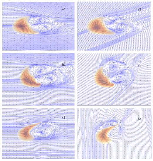 Numerical Simulation Analysis of the Formation and Morphological ...