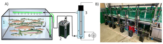Sustainability | An Open Access Journal from MDPI