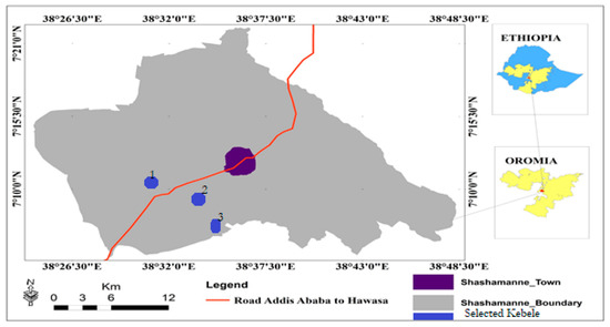 Livelihood Impacts of Large-Scale Agricultural Investments Using ...