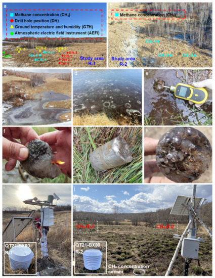 Swamp Wetlands in Degraded Permafrost Areas Release Large Amounts of ...