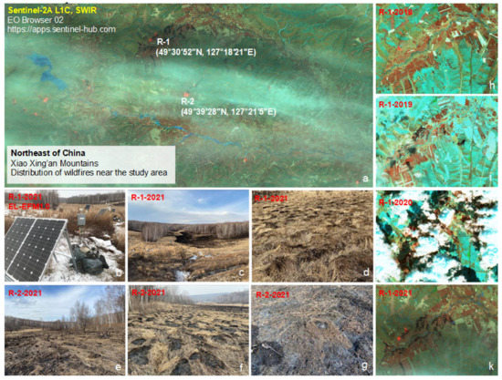 Swamp Wetlands in Degraded Permafrost Areas Release Large Amounts of ...
