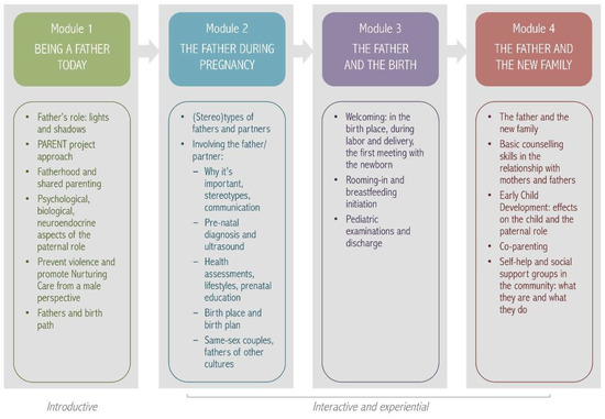 Sustainability | Free Full-Text | Training of Health Professionals to ...